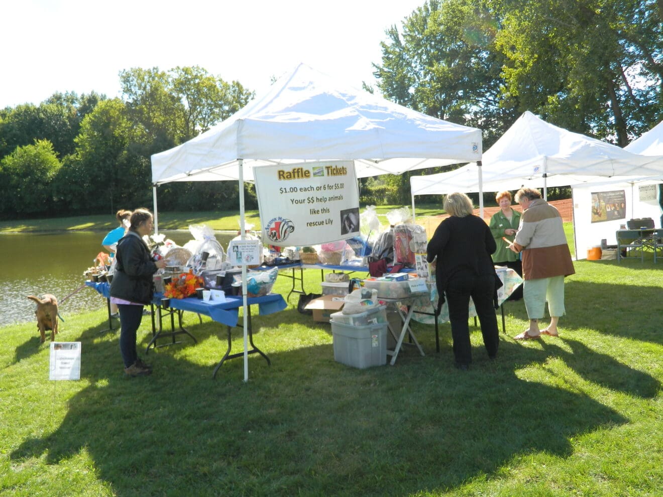 Skunk Fest - North Ridgeville, Ohio | Ohio Festivals