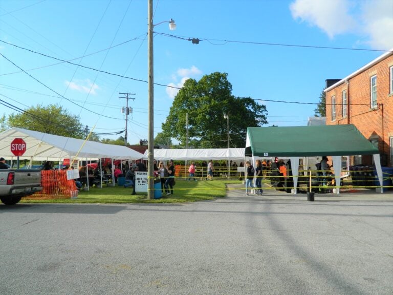 Testicle Festival - Tiro, Ohio