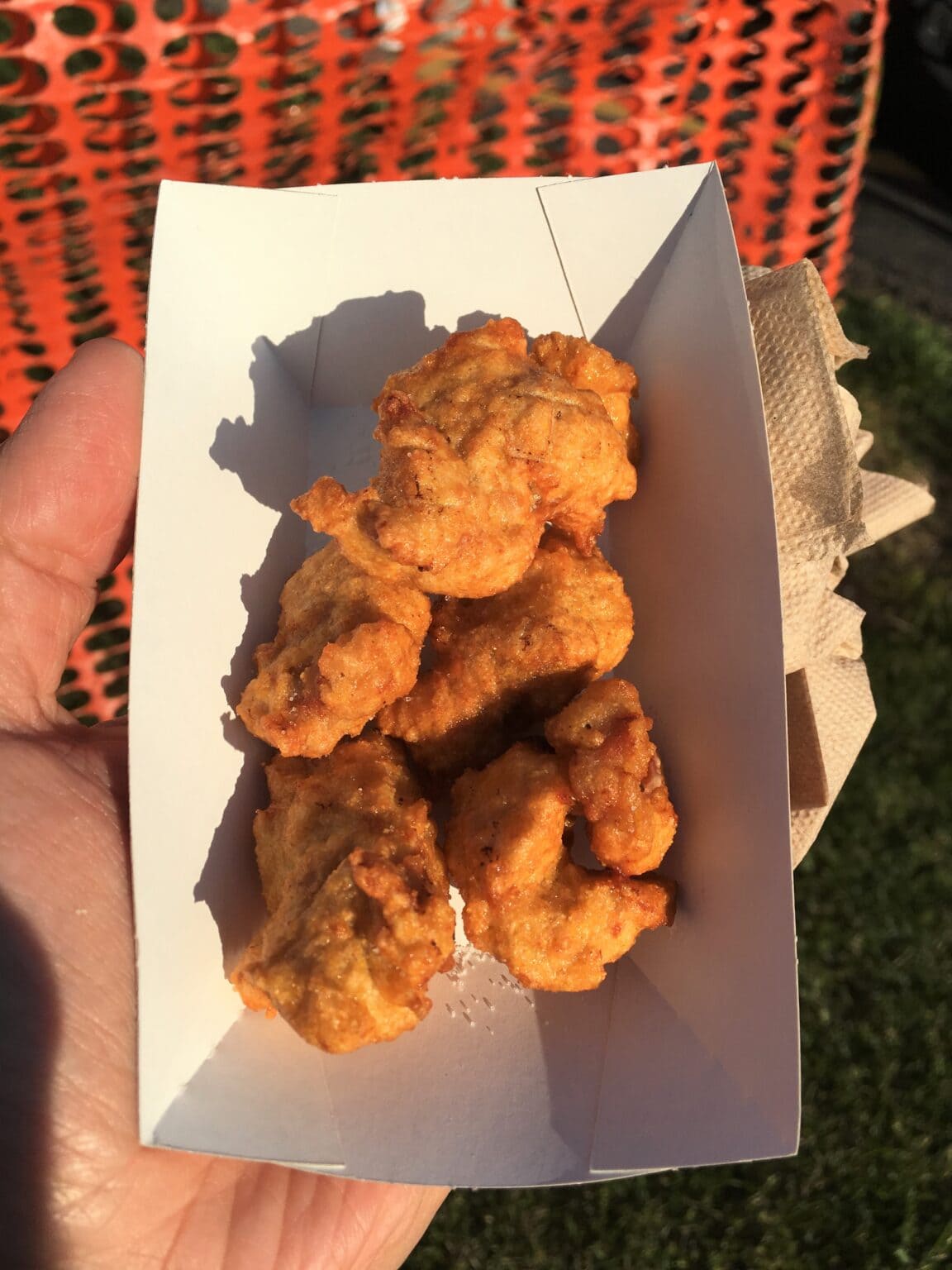 Testicle Festival - Tiro, Ohio - My Review