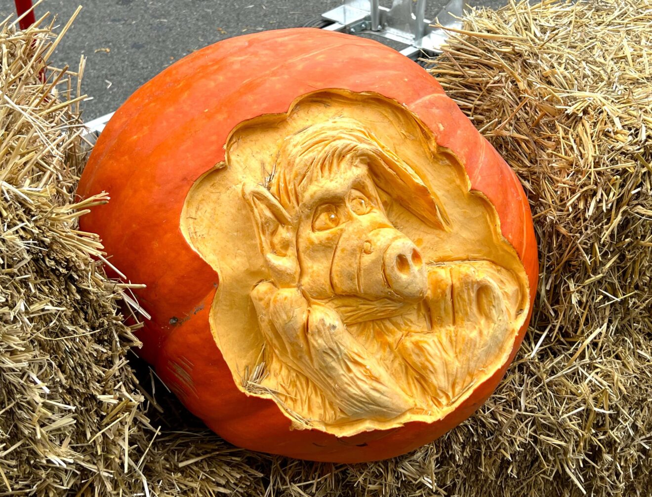 Operation Pumpkin - Hamilton, Ohio - Ohio Festivals