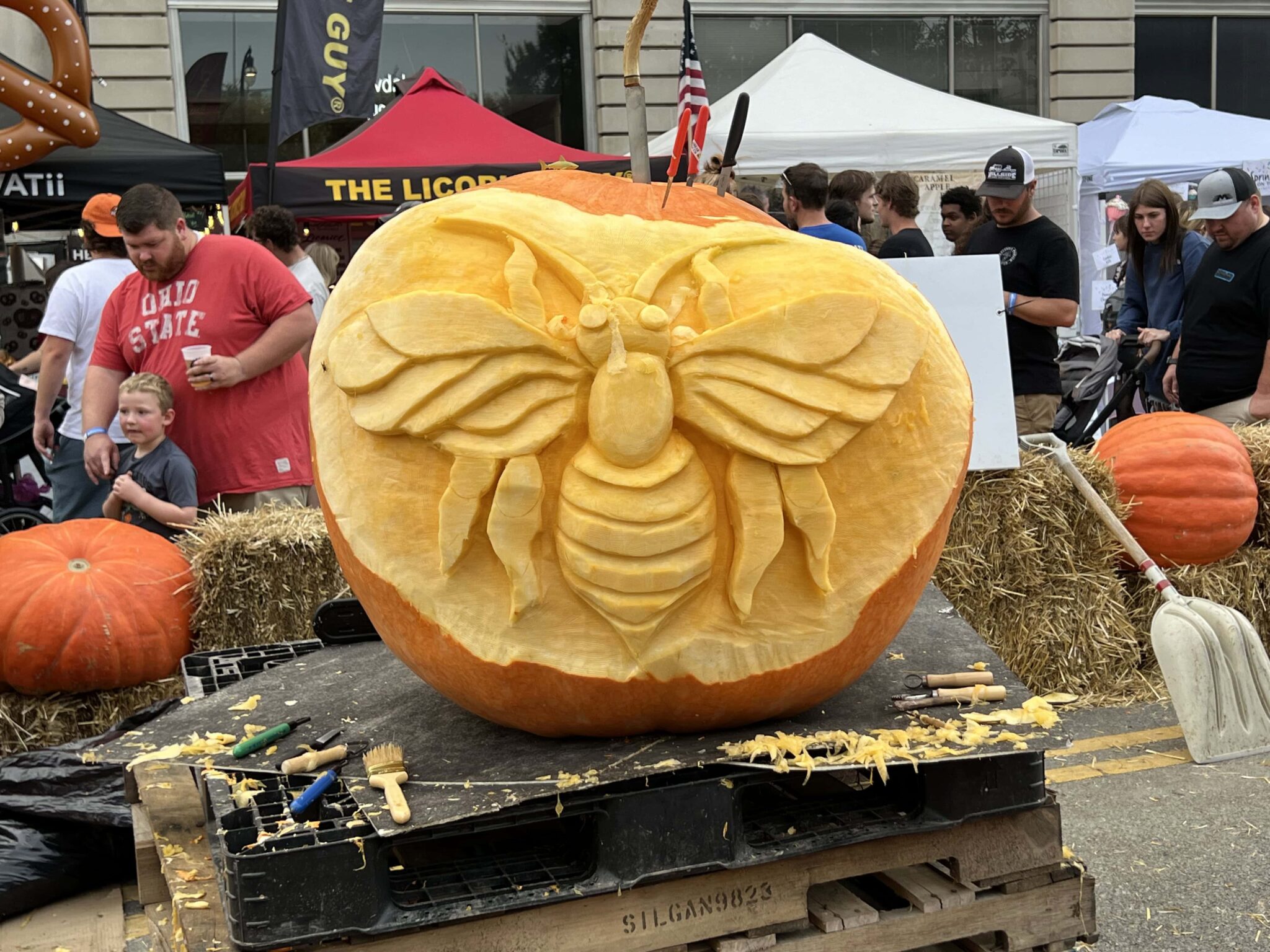 Operation Pumpkin - Hamilton, Ohio - Ohio Festivals