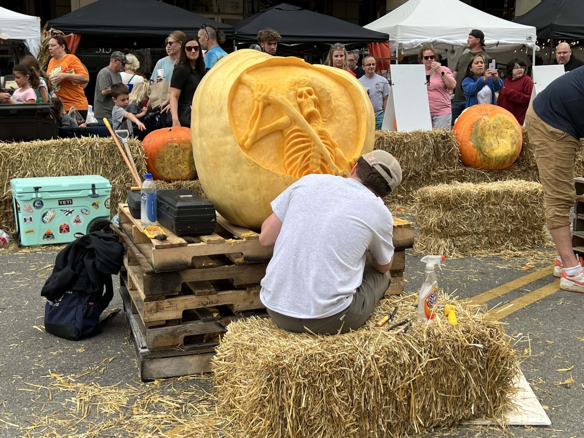 Operation Pumpkin - Hamilton, Ohio - Ohio Festivals