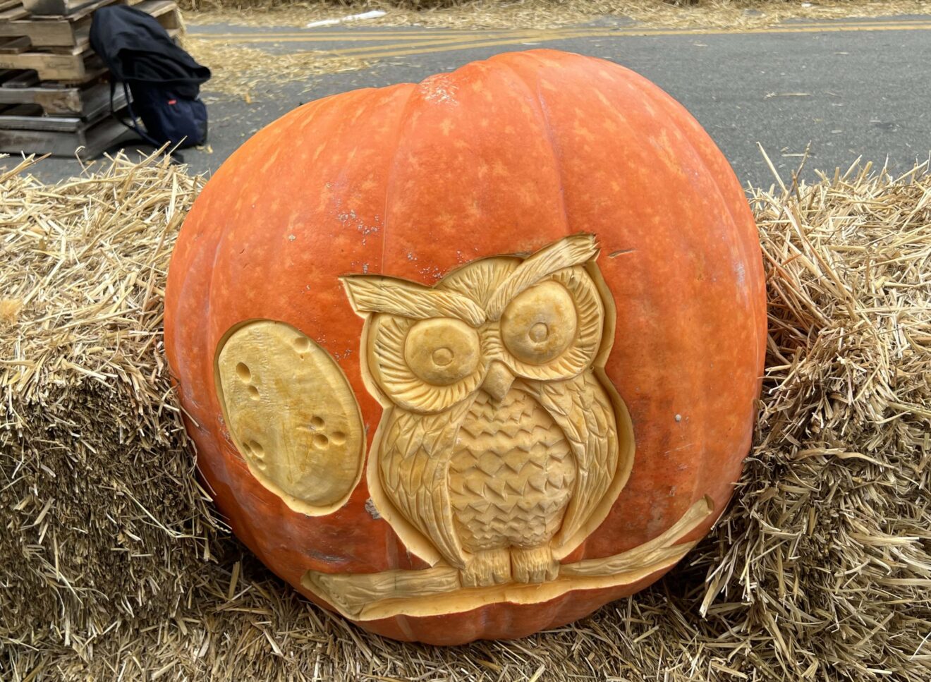 Operation Pumpkin - Hamilton, Ohio - Ohio Festivals